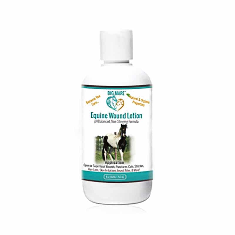 EQUINE 8OZ ANTIBACTERIAL / ANTIFUNGAL WOUND LOTION – bigmare